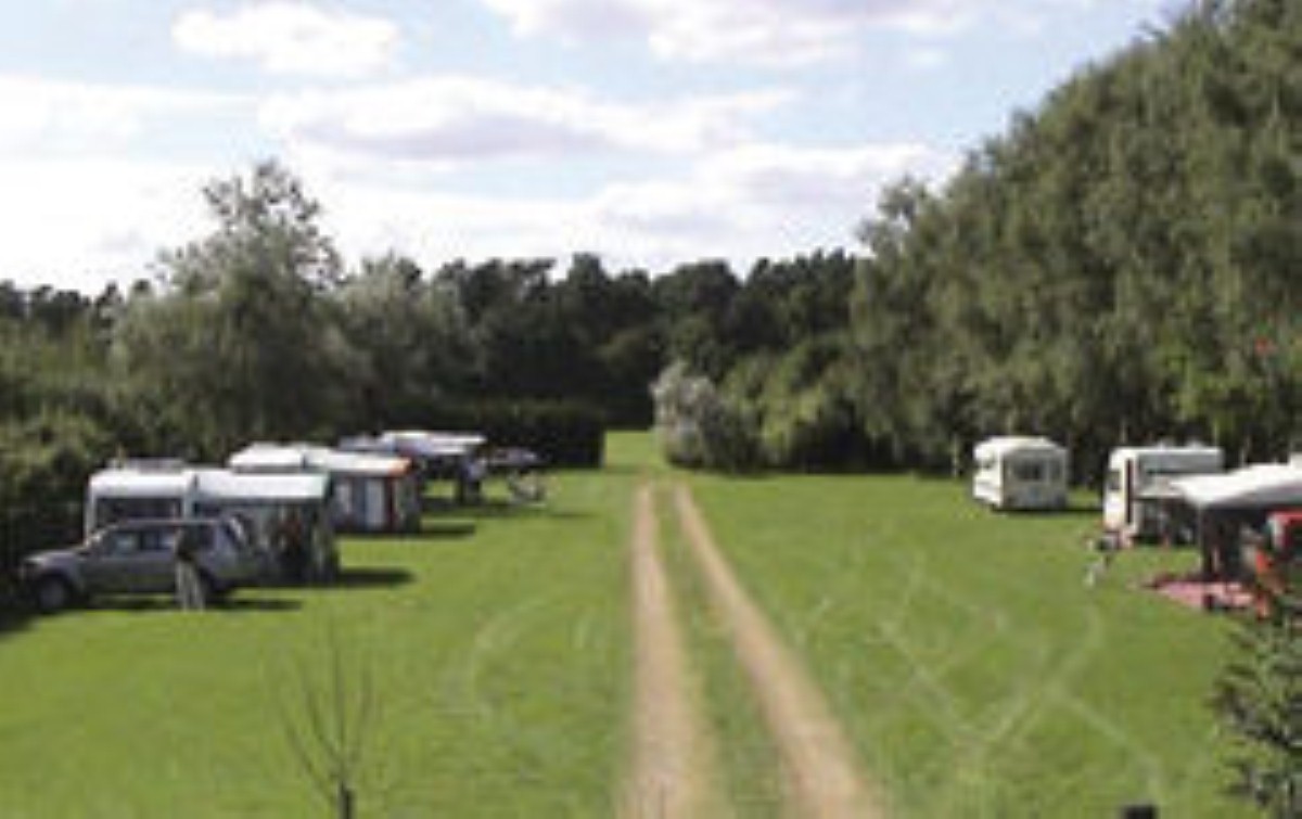 Thetford Forest Club Site